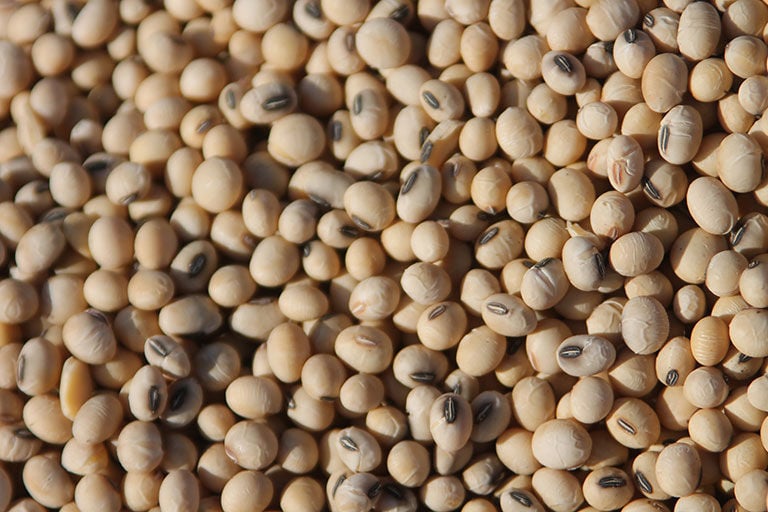 Shrinking Seed, Seed sellers consolidate, personalize