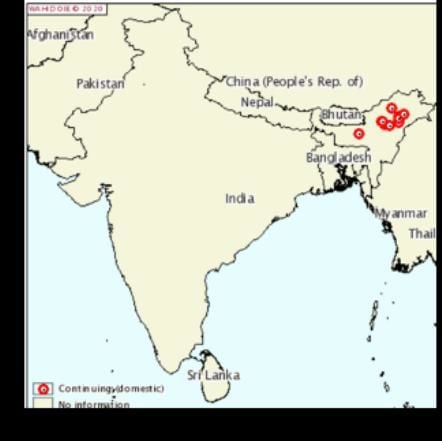 African swine fever spreads