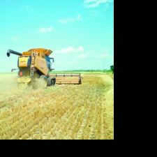Lexion 700 series combines loaded with features