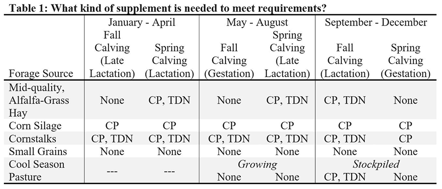 Meeting the feed needs of fall-calving herds