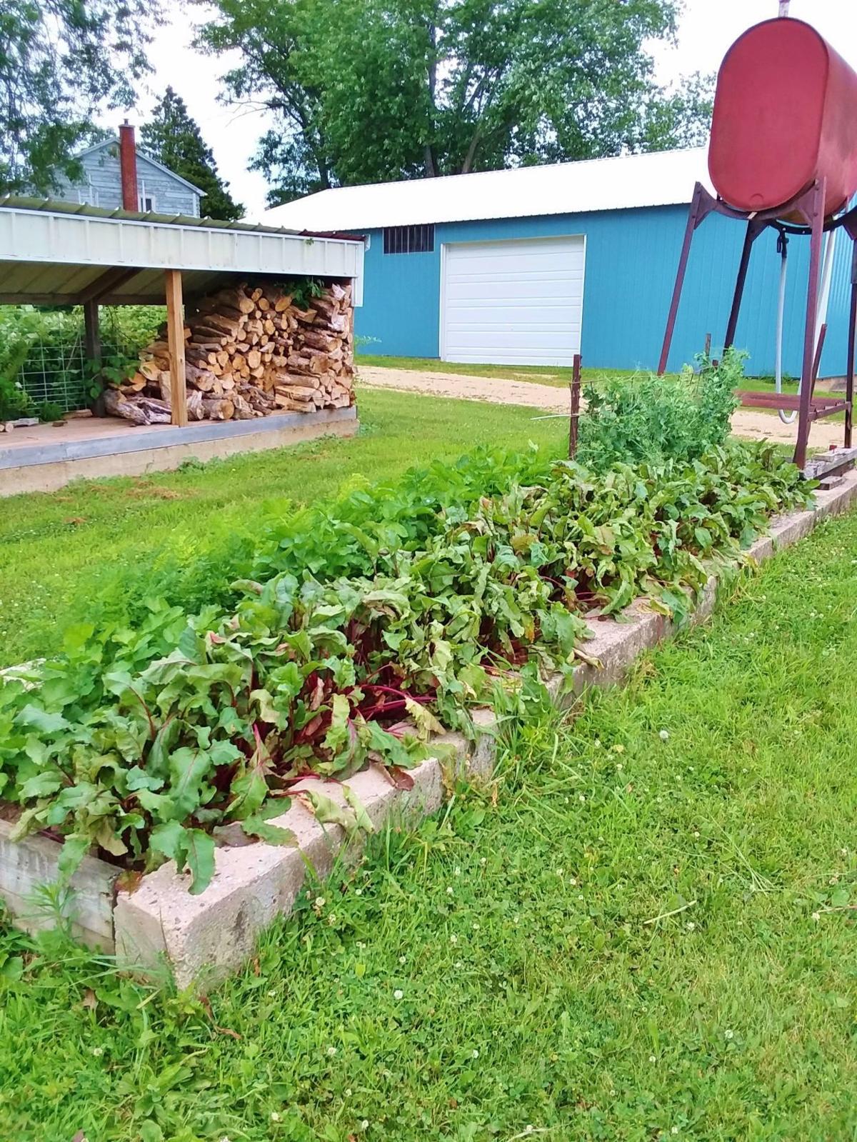 Life in a Farmhouse Kitchen | Farm Life | agupdate.com