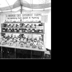 Growing grapes, mint, and other specialty crops in Wyoming