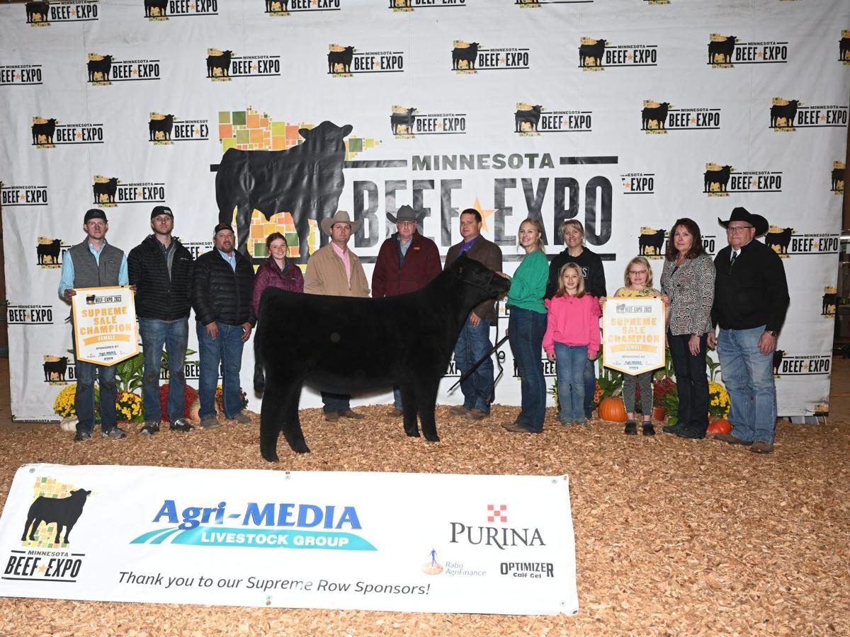 Minnesota Beef Expo brings together Midwest cattle, youth, producers