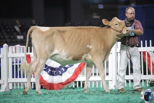 Fritsches maintain high quality dairy herd near New Ulm