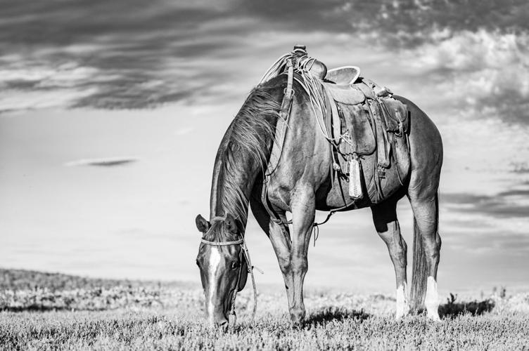 Ranchland Trust photo contest showcases Kansas beauty
