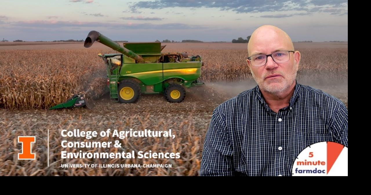 Declining Crop Prices and Costs: What Farmers Can Expect in 2024