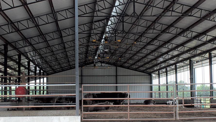 Dairy producer modernizes operation