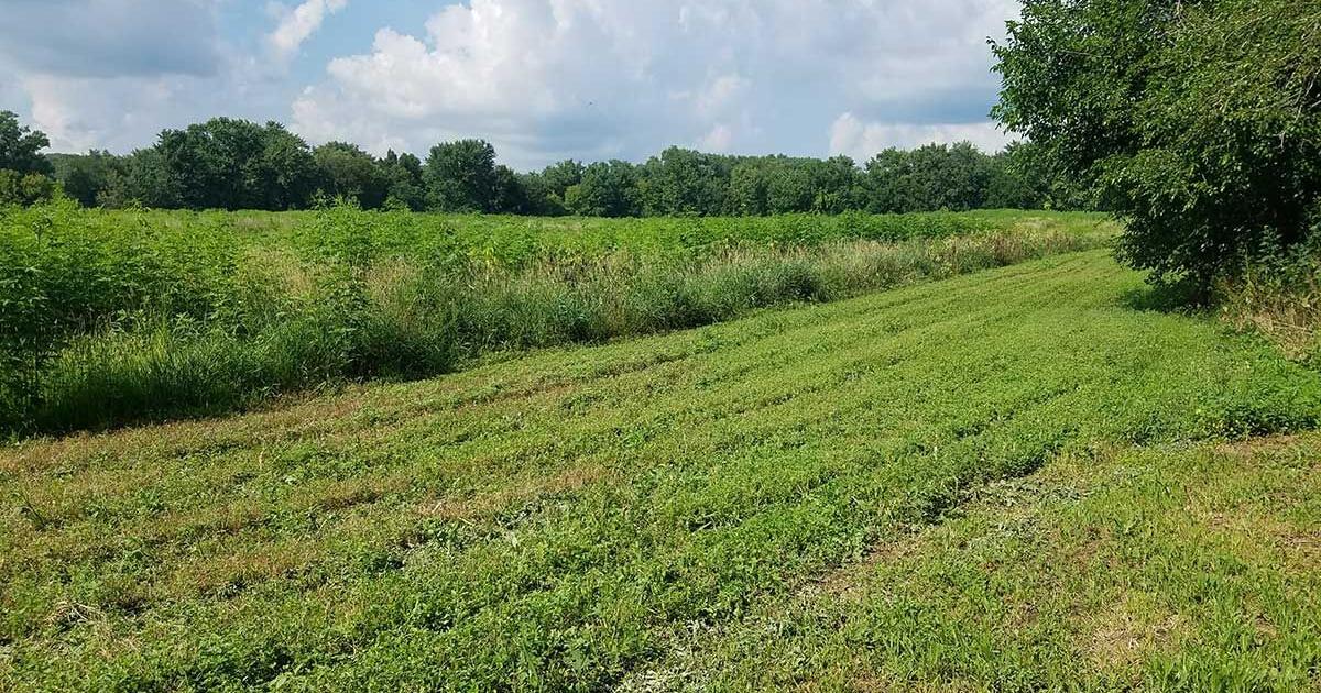 Prime time to reform CRP acres