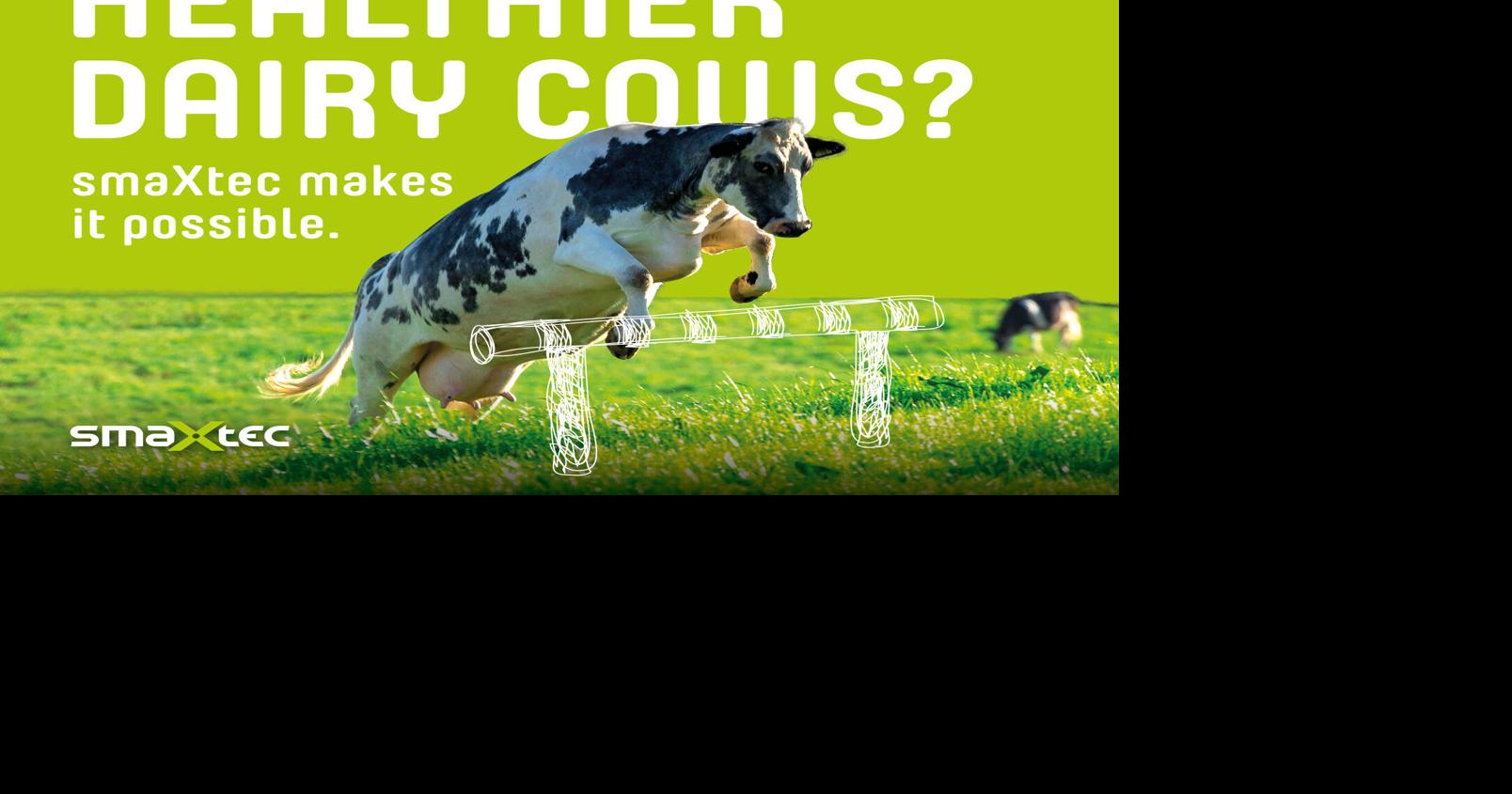 Learn how to better monitor your cows' health with smaXtec technology ...