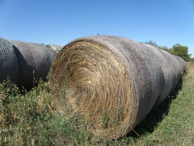 Proper hay storage important for winter