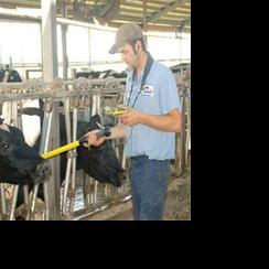 RFID Tags Simplify Livestock Tracking, Herd Management