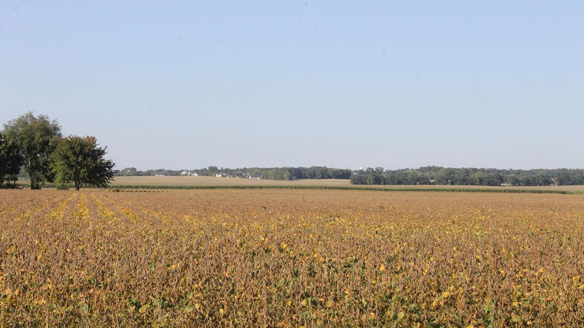 Soybean group urges growers to explore quality traits
