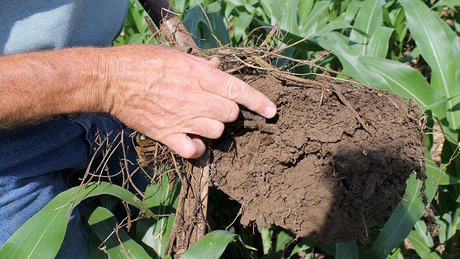 Poll shows more awareness of soil health issues