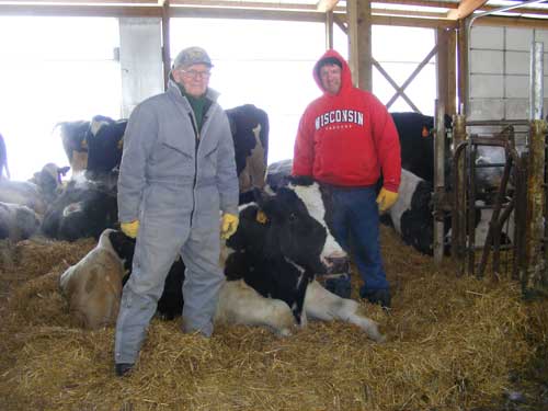 Royal Flush Dairy Working Well For Pederson