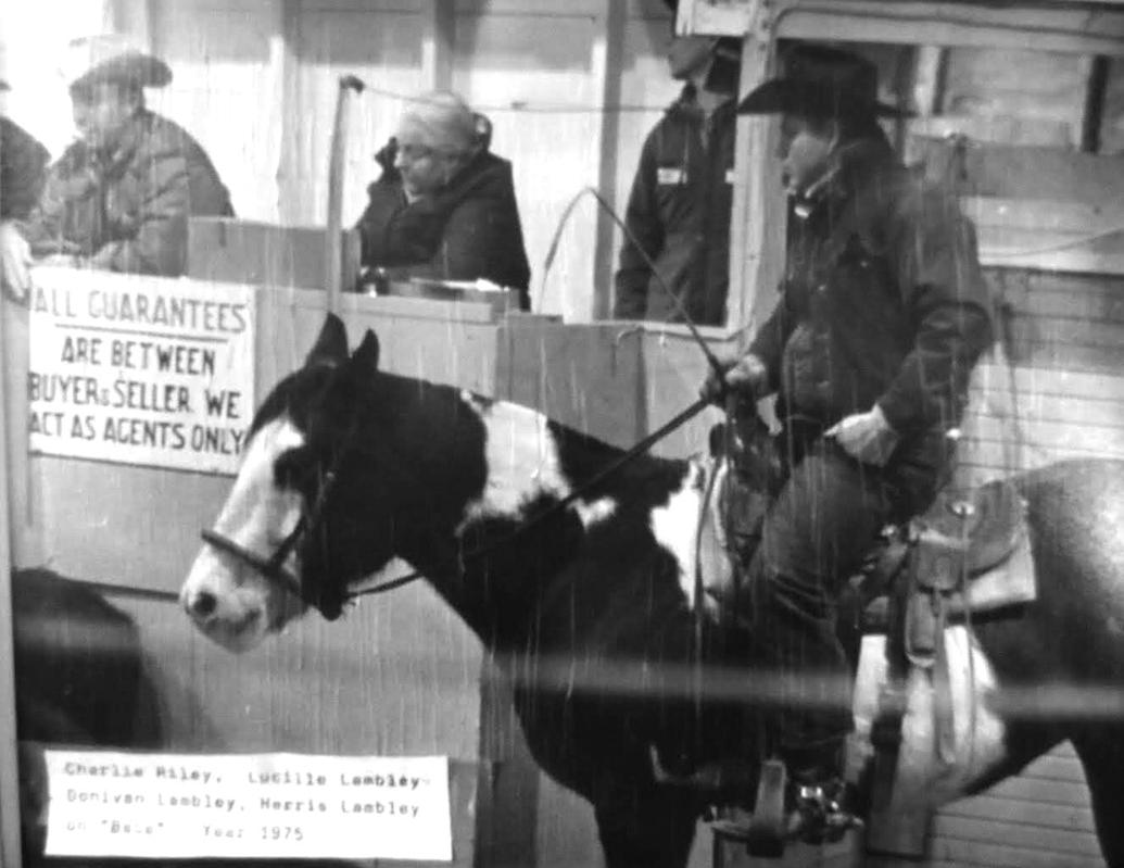A family legacy: Burke Livestock Auction going strong after nearly 60 years