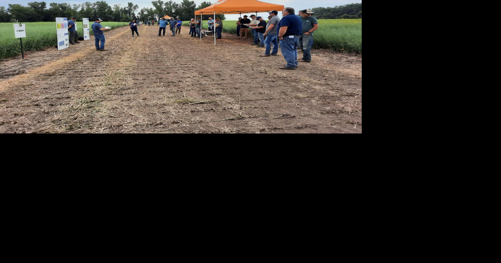 BASF reveals new innovations at InVigor showcase plot tour