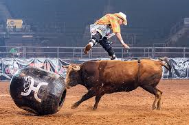 Freestyle bullfighting at Kaw Valley Rodeo