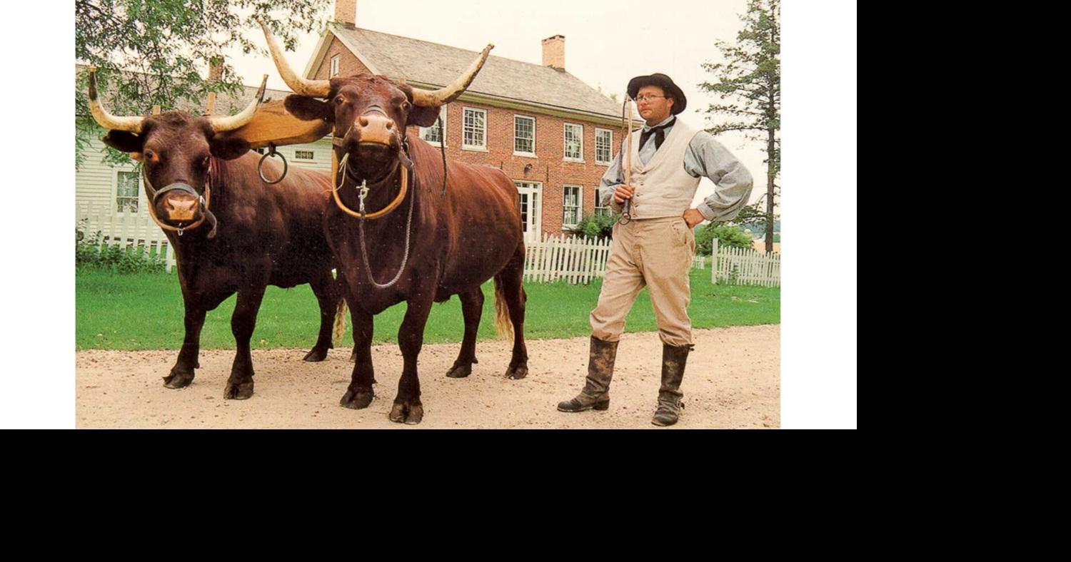 Farm museum ‘snapshot’ of 1840s life