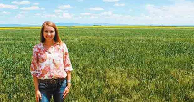 Testing your hay? When to test hay and what to look for