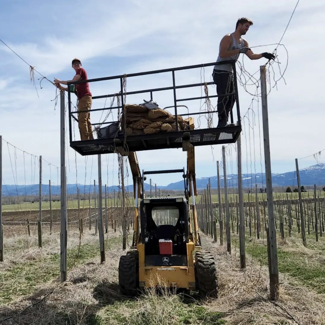 Bozeman hops grower offers diverse product line