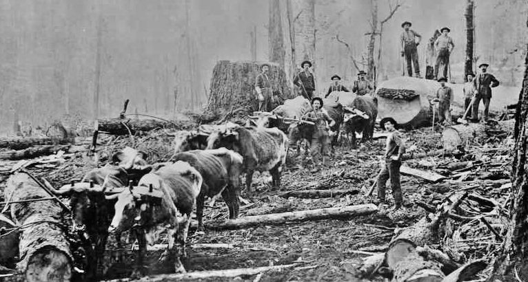 Remembering Our Rural Roots