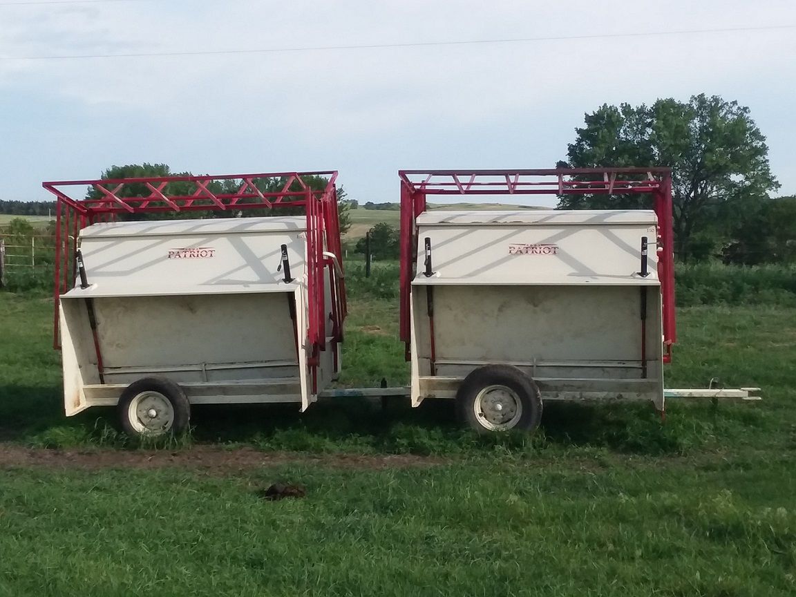 Creep feeding calves can be a good investment