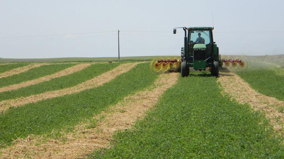 Attention to detail can maximize forage quality
