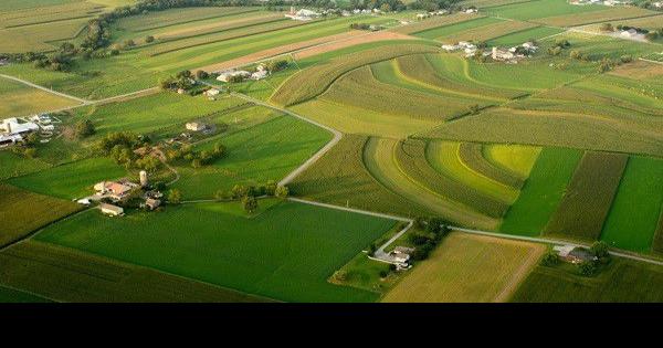 Farmland values decrease for fifth-straight year