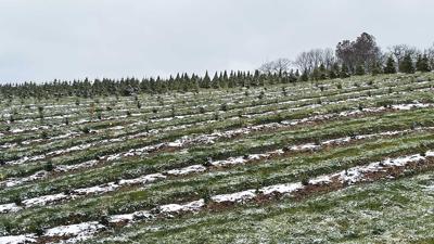 Holiday foods need holiday atmosphere