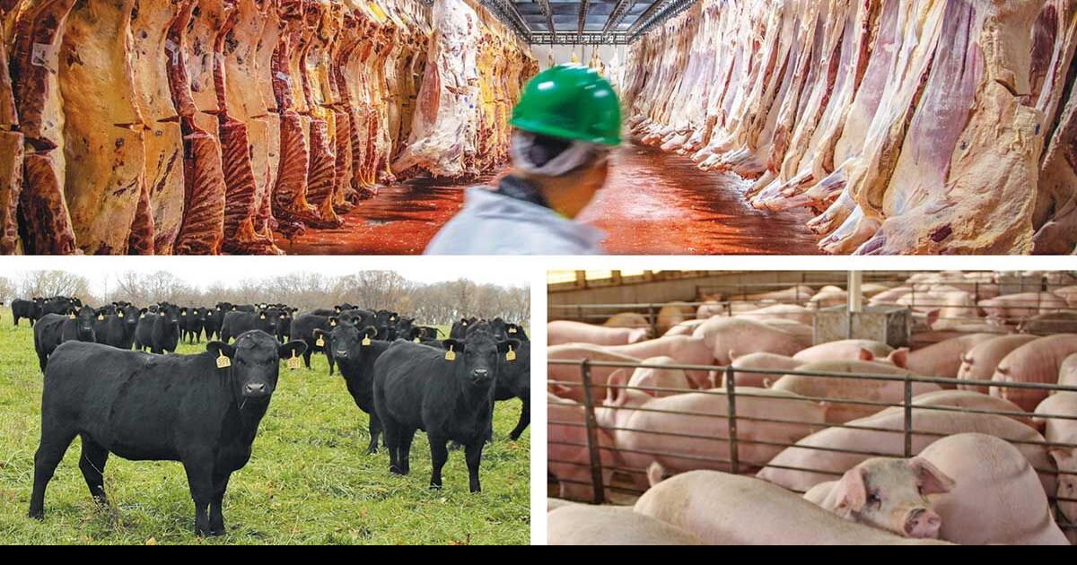 Beef export values top $10B for new record