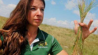 Gaugler named range research specialist at Streeter