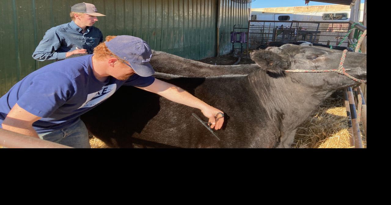 Fair projects create go-getters