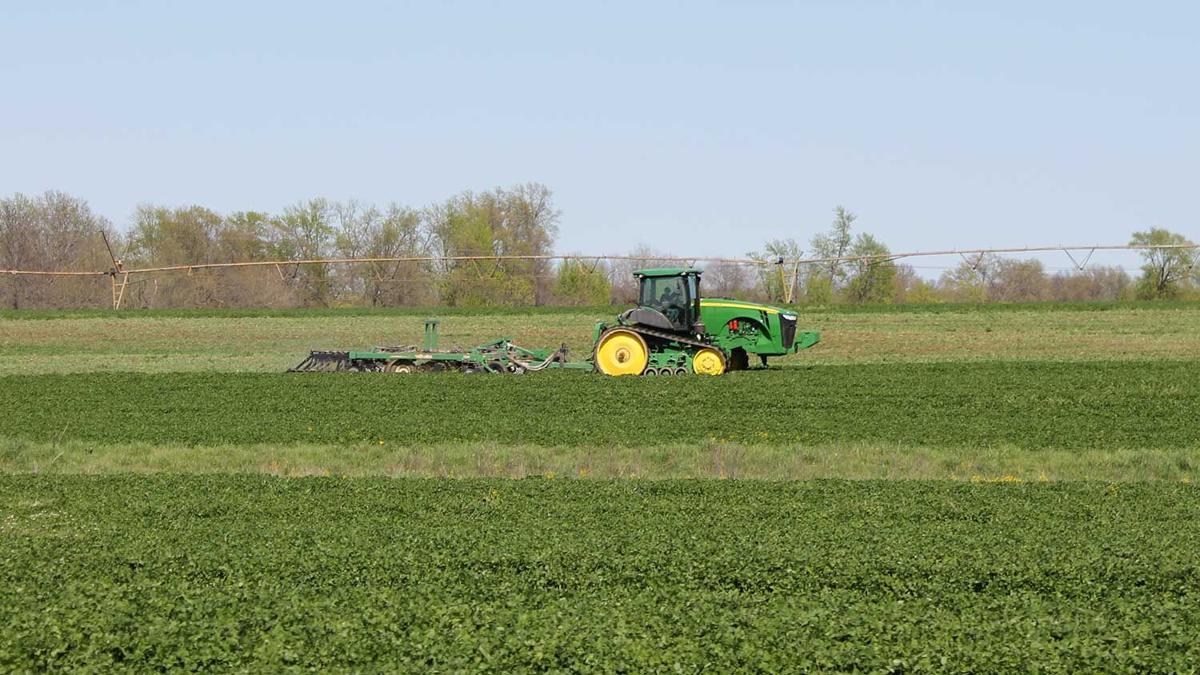 Cover crop options vary with goals