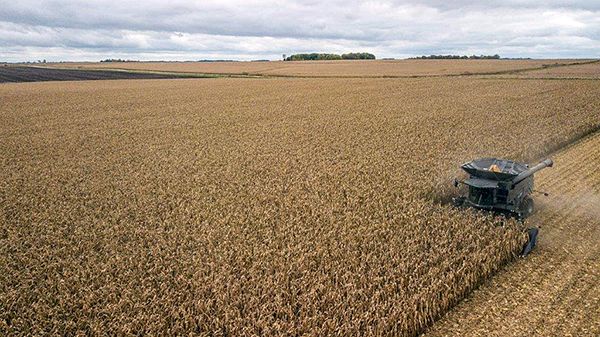 Focus on New Machinery: Fendt introduces clean sheet combine line