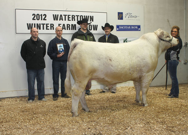 Watertown Winter Farm Show: Mack Family exhibits champion Charolais bull