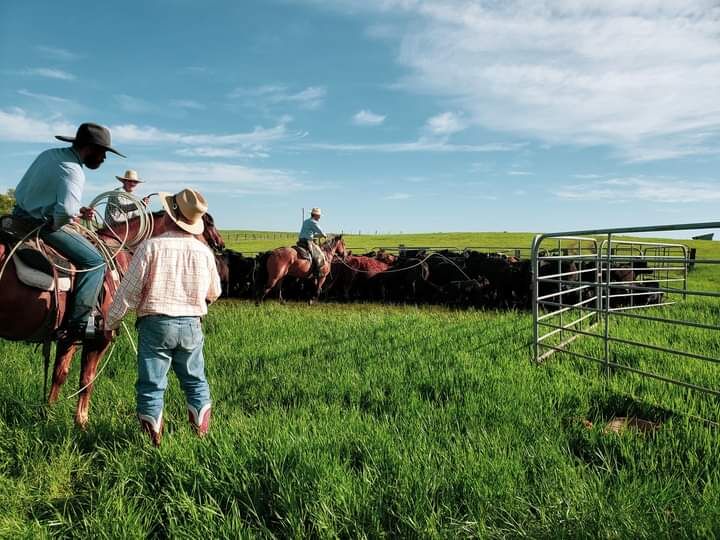 Dan Scott Ranch Management Program has first graduate