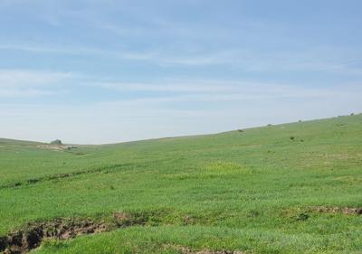 Much needed rains revive pastures in southwestern Nebraska