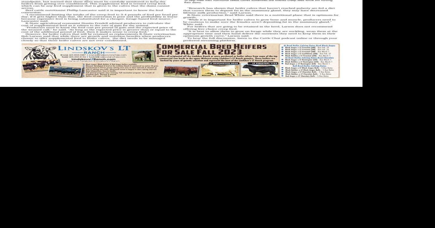 Livestock Roundup 1-19-24