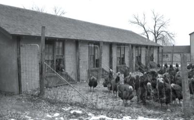 Yesteryear: New construction