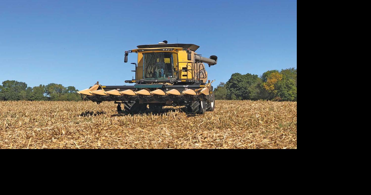 Clear conditions allow for corn progress