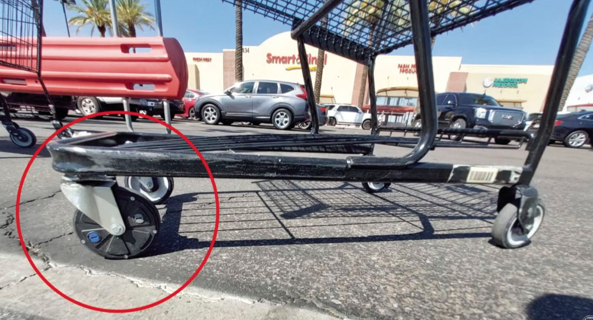 Phoenix ponders new shopping cart controls | News | ahwatukee.com