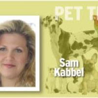 Sam Kabbel: Benevolent leadership in dogs | Community Focus | ahwatukee.com