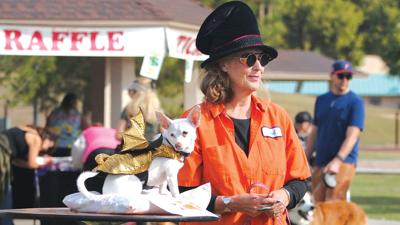 Dozens to vie for top dog at pooch show | Community Focus | ahwatukee.com