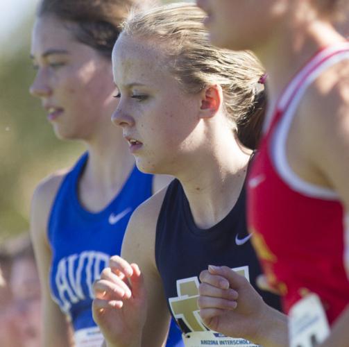 State cross country: MP, Horizon Honors tandem finish season strong ...