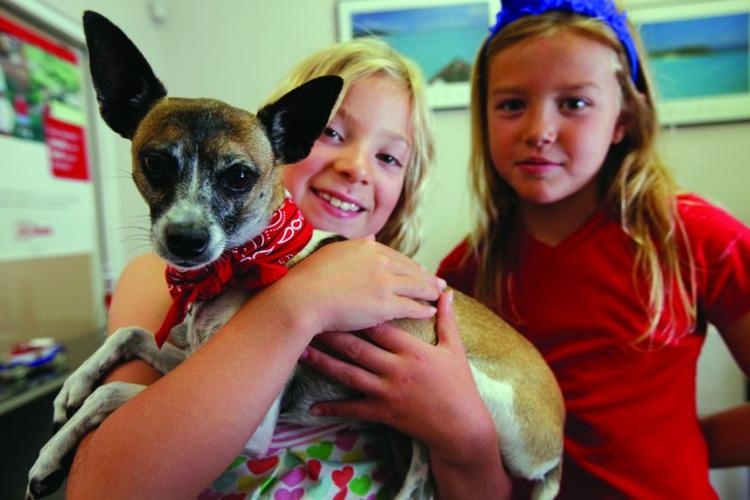 Take your dog to work day | Latest Slideshows | ahwatukee.com