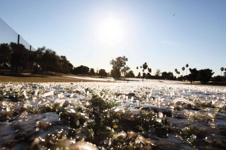 Ahwatukee Lakes Golf Club, iced over | Latest Slideshows | ahwatukee.com