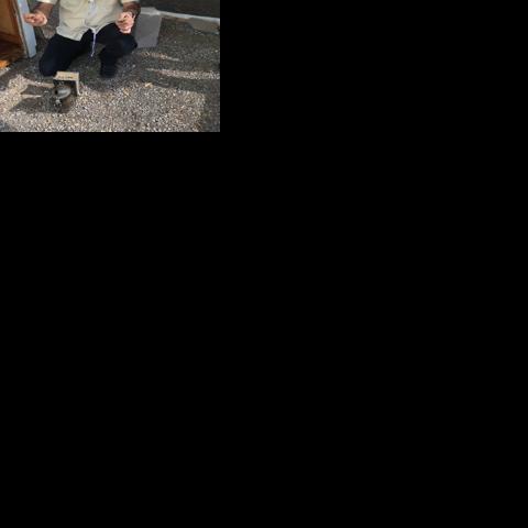 ASU honey bee lab works to save the vital insects | News | ahwatukee.com