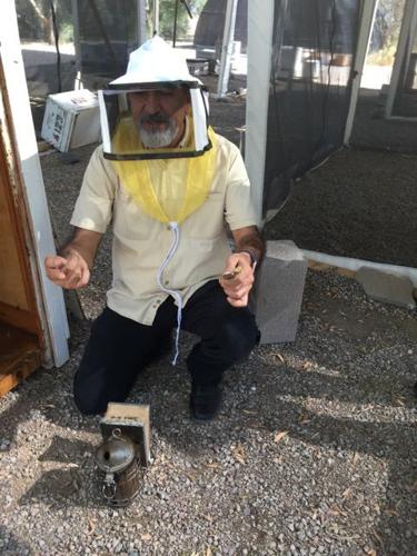 ASU honey bee lab works to save the vital insects | News | ahwatukee.com