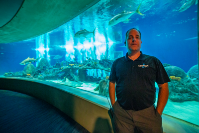 OdySea Aquarium kicks off Summer of Sharks | Get Out | ahwatukee.com
