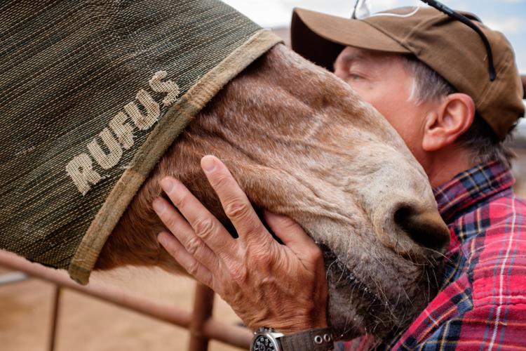 Photos: Wildhorse Ranch Rescue | Valley And State | ahwatukee.com